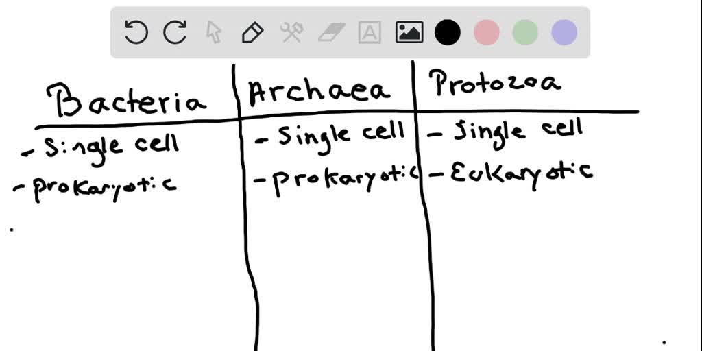 SOLVED: compare and contrast bacteria, archaea, and protozoa