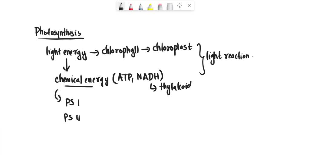 SOLVED: List the events taking place in the photochemical phase of ...