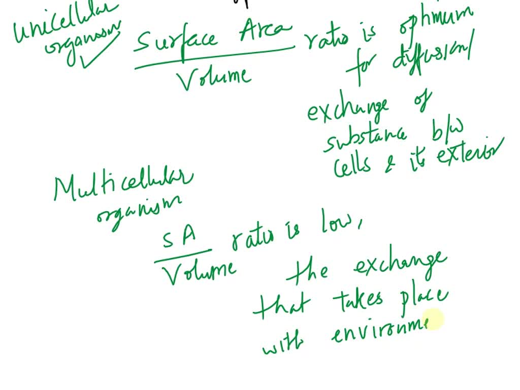 SOLVED: In single-celled organisms, diffusion is sufficient to meet all ...