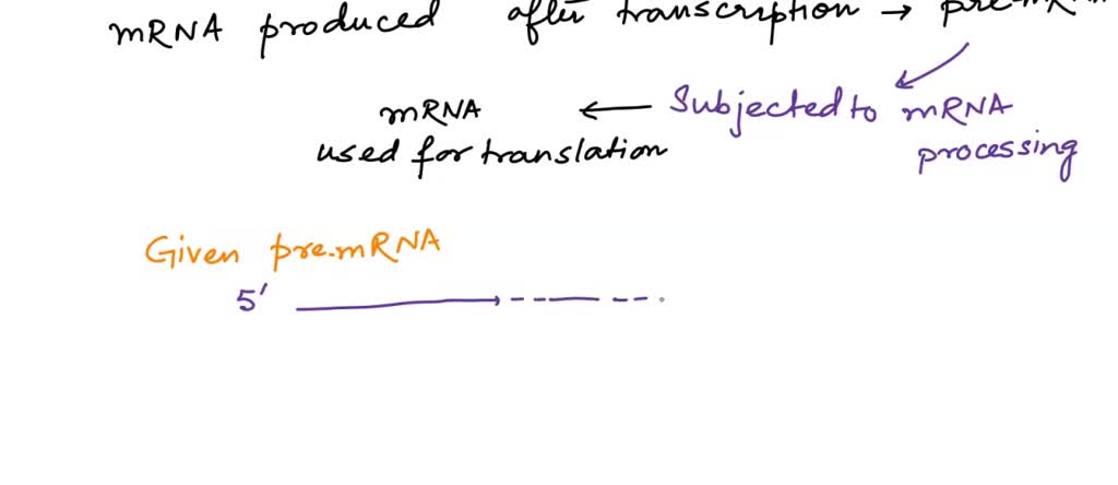 SOLVED: 05.8. The image below shows a molecule of eukaryotic pre-mRNA ...