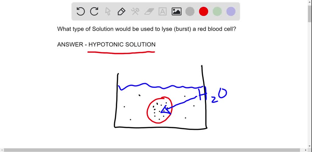 SOLVED: a biologist diluted a blood sample with distilled water. While ...