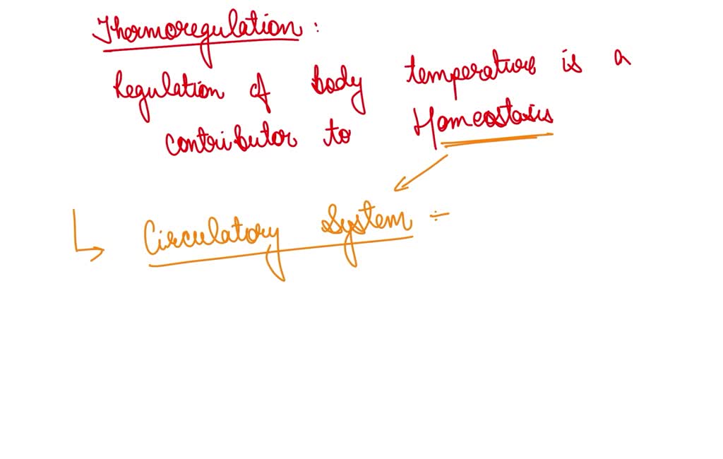 SOLVED: 'Body temperature homeostasis Circulatory system homeostasis ...