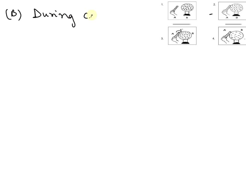 SOLVED: CHARGING BY CONTACT Objective: At the end of this activity, you ...