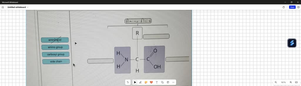 SOLVED: Proteins are polymers - long chains of many similar building ...