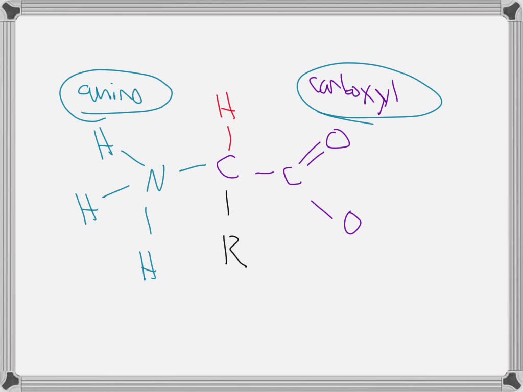 SOLVED: What functional group(s) are present in the compound shown ...