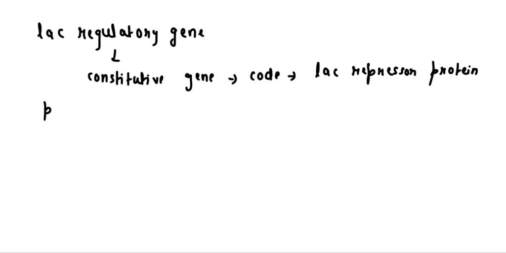 SOLVED: Consider the following diagram of the lac operon: Label every ...