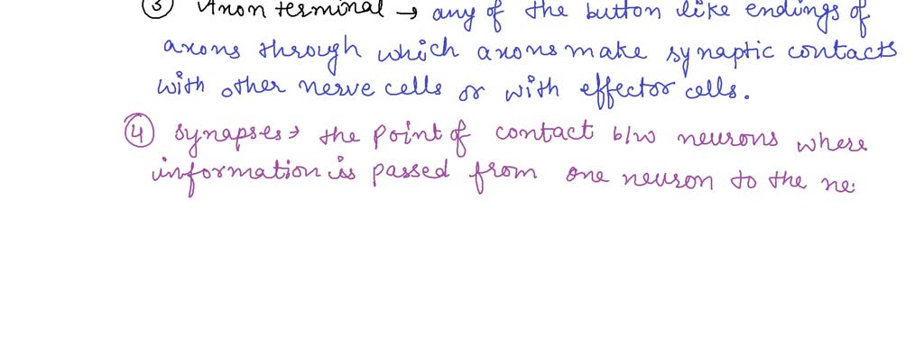 SOLVED: Axon hillock Axon Cell body Dendrite Schwann cells Collateral ...