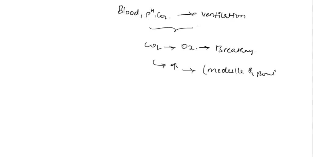 SOLVED: Explain how blood pH, CO2, and O2 levels affect ventilation.