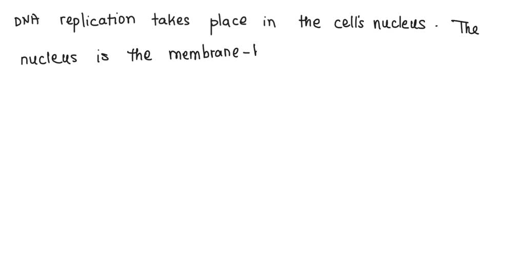 SOLVED: Reading from left to right, divide your sequence of mRNA bases ...