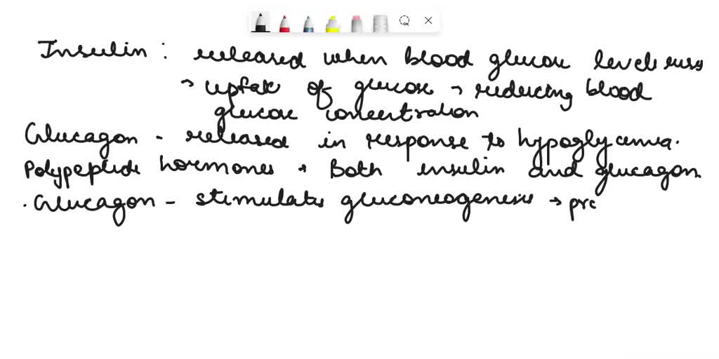 SOLVED: Determine whether the statements describe insulin, glucagon, or ...