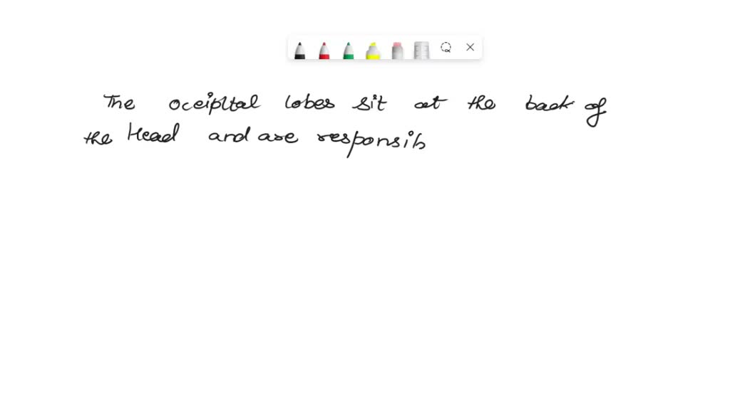 SOLVED: Question 1 (0.5 points) When the optic nerve reaches the the ... SOLVED: Question 1 (0.5 points) When the optic nerve reaches the the ...
