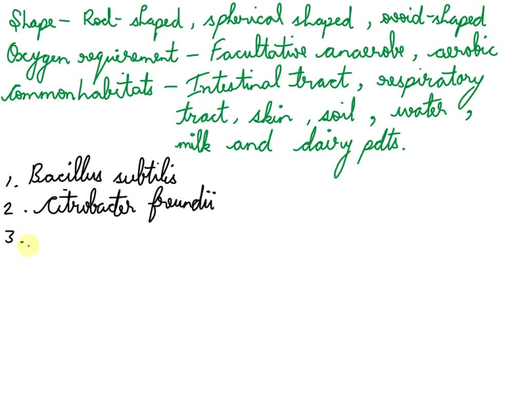 SOLVED: Bacteria Identification Assignment: Making a Key Make a key that you can use to identify ...