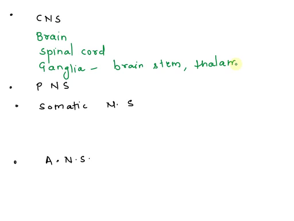 SOLVED: Subdivisions of the Nervous System Organs Each label lists a structure related to a ...