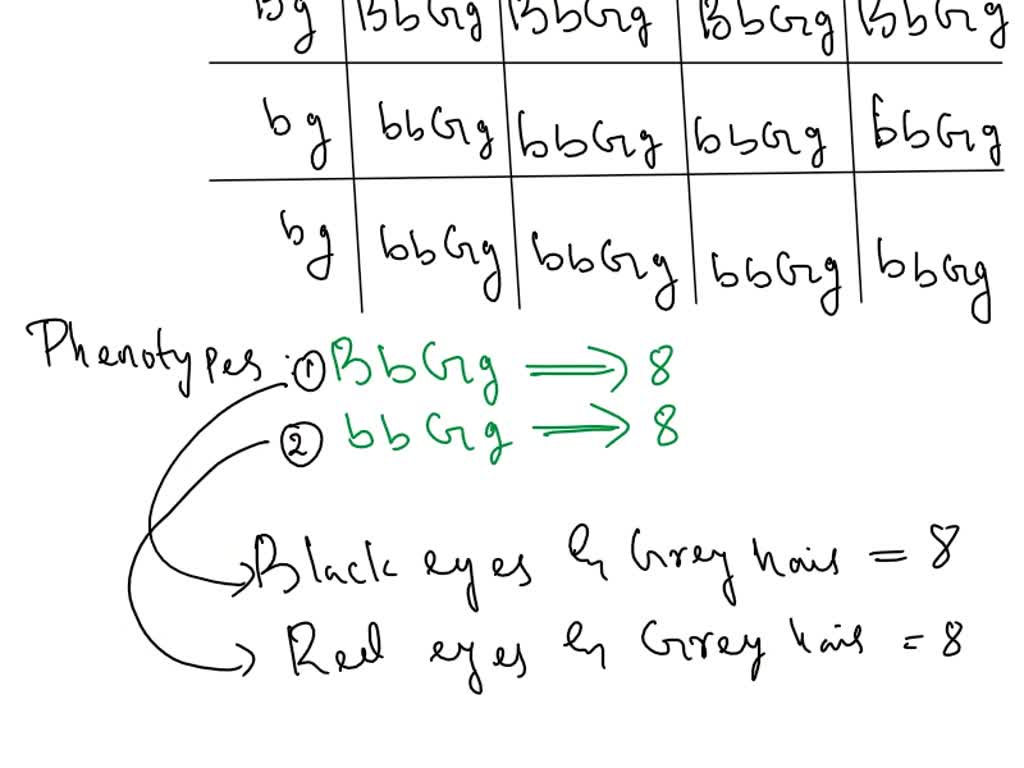 Question 4. In rabbits, grey hair is dominant to white hair while black ...
