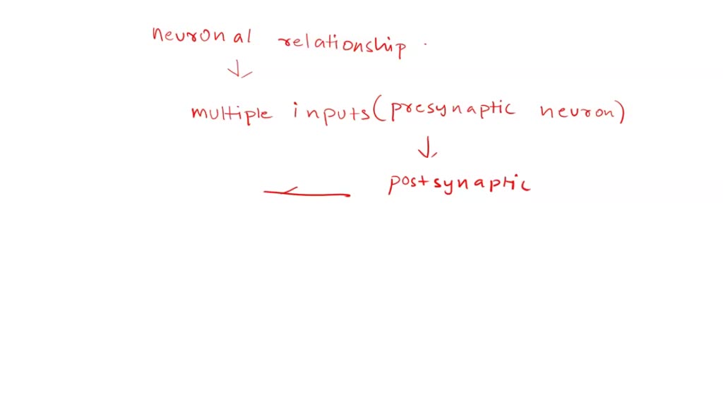 SOLVED: According to Donald Hebb, existing connections between neurons ...