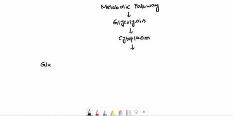 Write balanced chemical reactions for those reactions our...