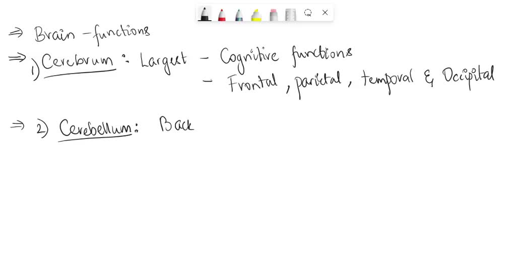 SOLVED: Key Concept: What are cognitive functions, and which parts of ...