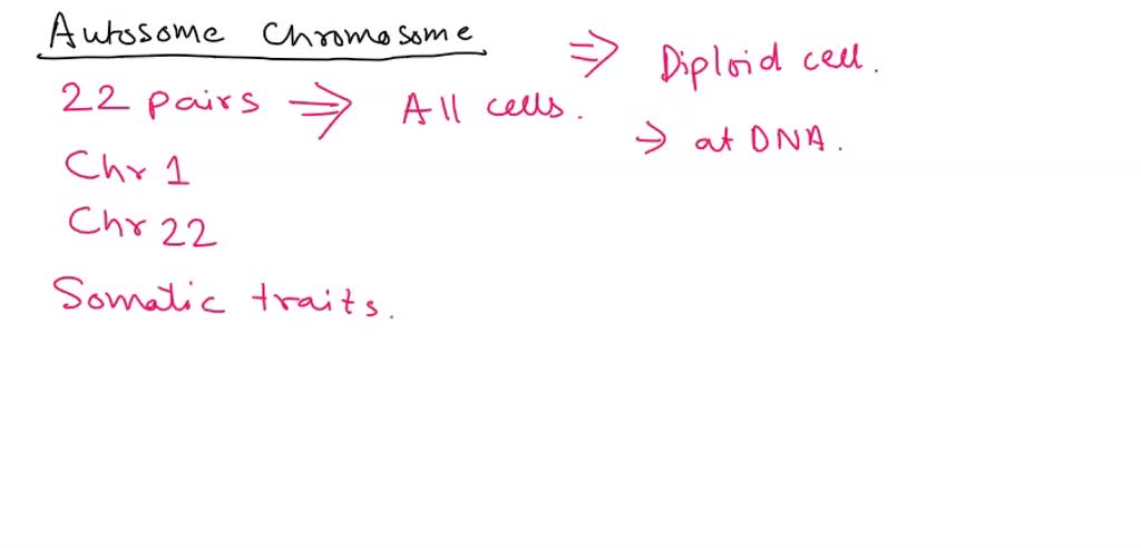 Solved Differentiating The Terms Homologous Chromosomes Autosomes And Sex Chromosomes Which Of