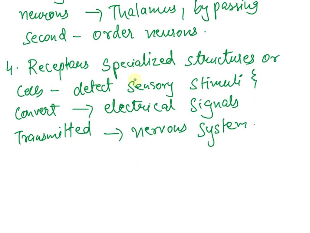 Diagram Of The Nuclei Of Subconscious Motor Pathways Solved
