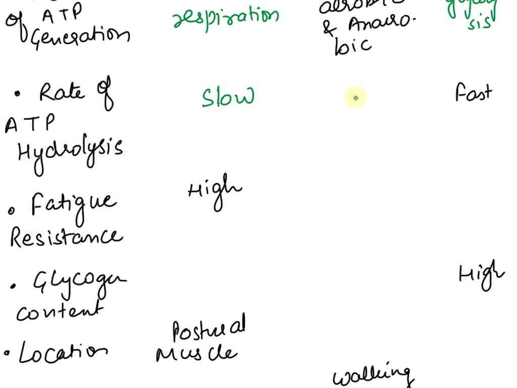 SOLVED: Complete the table by filling in the missing information ...