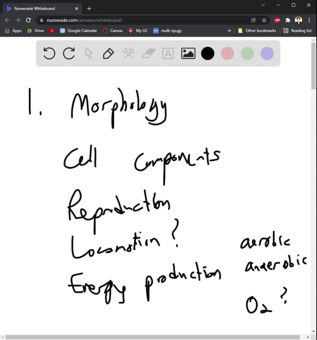 SOLVED: Microbiology; Please answer the following in an expert ... SOLVED: Microbiology; Please answer the following in an expert ...