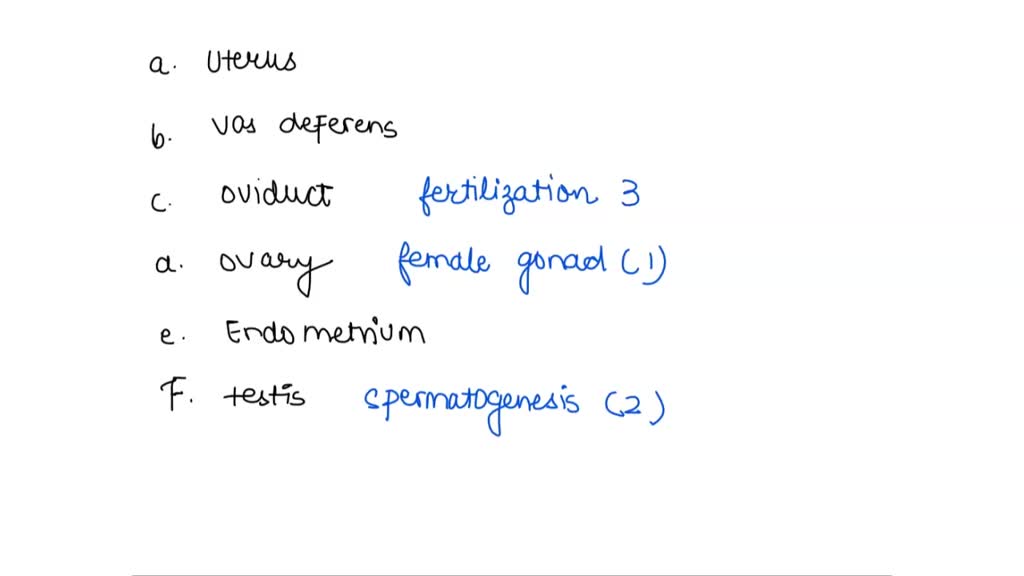 SOLVED: 'Part A Using the figure above, identify the organs of the ...