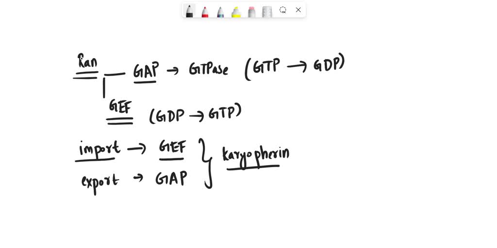 SOLVED: Describe the mechanism of nuclear import, including the roles ...
