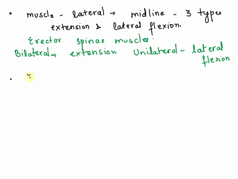 The thoracic cavity during normal inspiration. Select the...