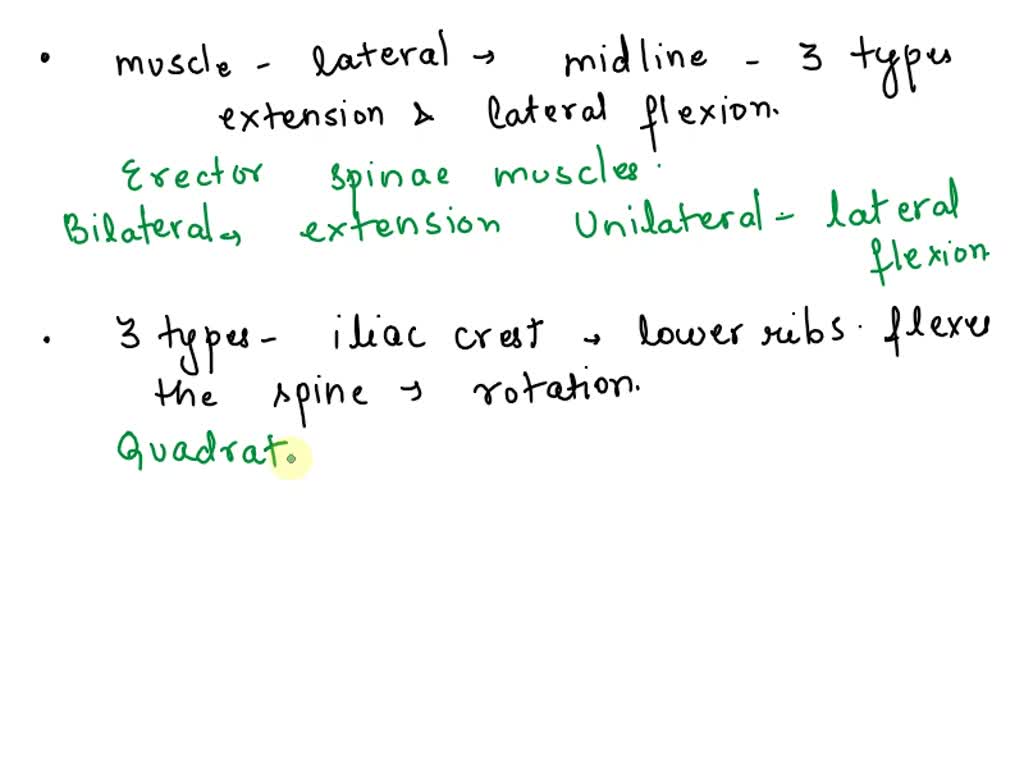 SOLVED: The thoracic cavity during normal breathing is shown in action ...