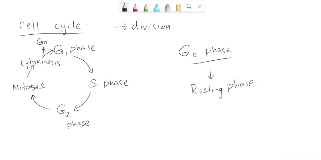 SOLVED: Cells in this stage of the cell cycle will stop dividing ...