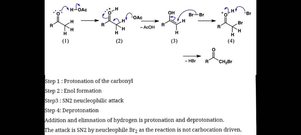 SOLVED: The following scheme shows a mechanism for the a-bromination of ...