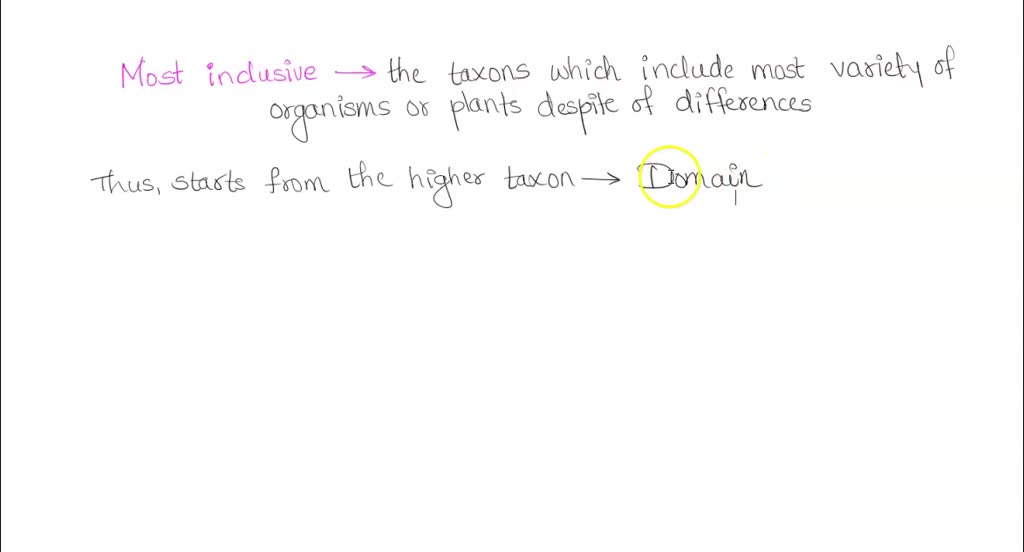 SOLVED: Which one of the following sequences shows the correct ...