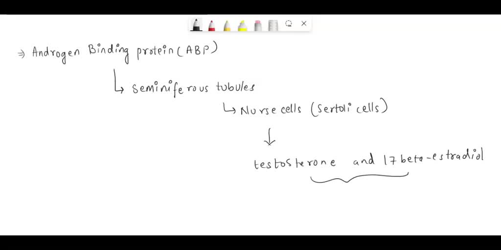 SOLVED: What is the function of androgen-binding protein? a. Transport ...