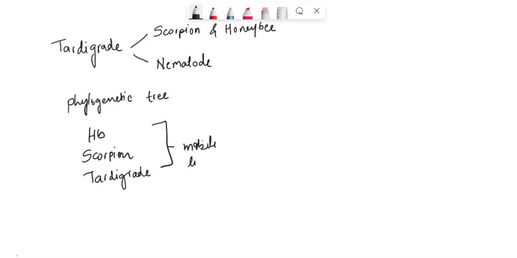 SOLVED: Octopus Nematode Tardigrade Scorpion Honeybee Three pairs ...