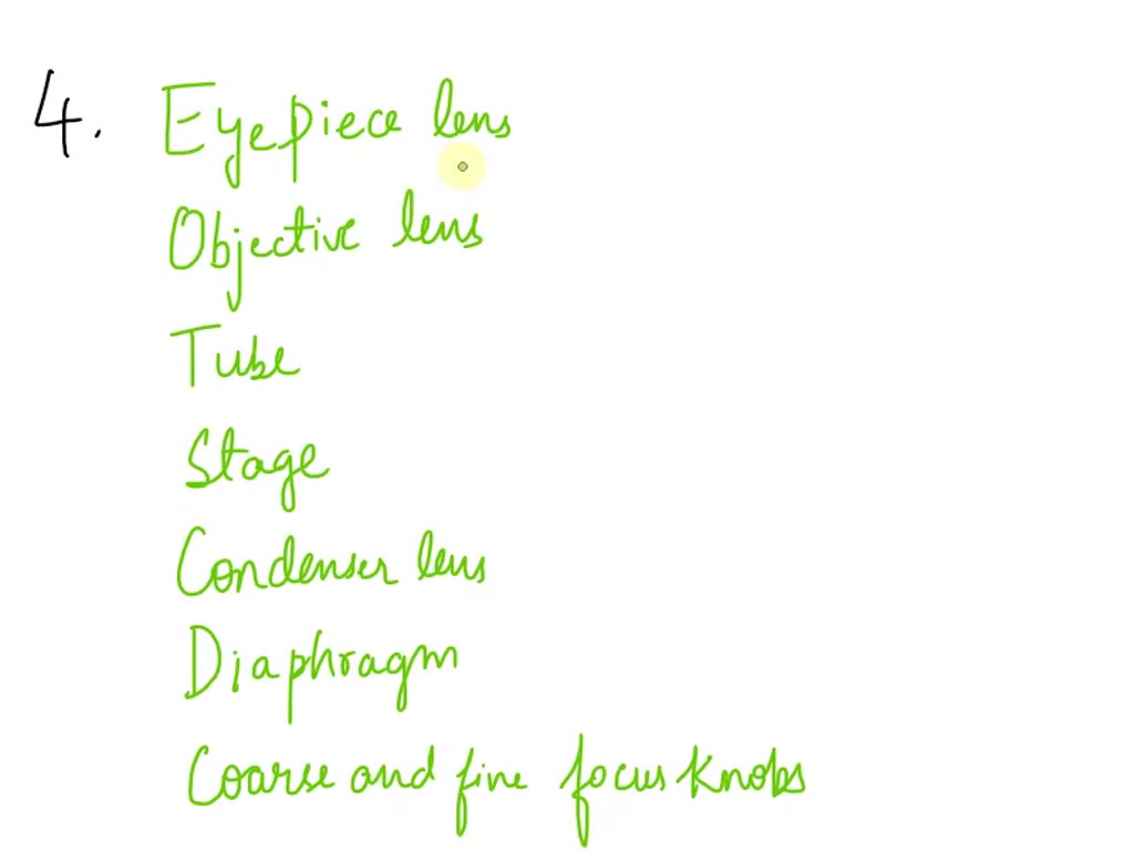 SOLVED: Diagram the path of light through a compound microscope ...