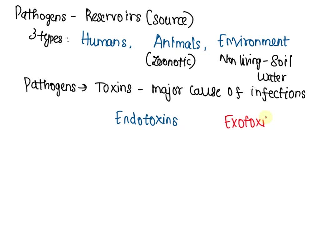 SOLVED: Compare and Contrast: Your answer can/should show the ...