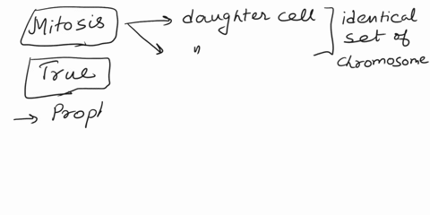 when a cell is not dividing the dna is loosely spread throughout the ...