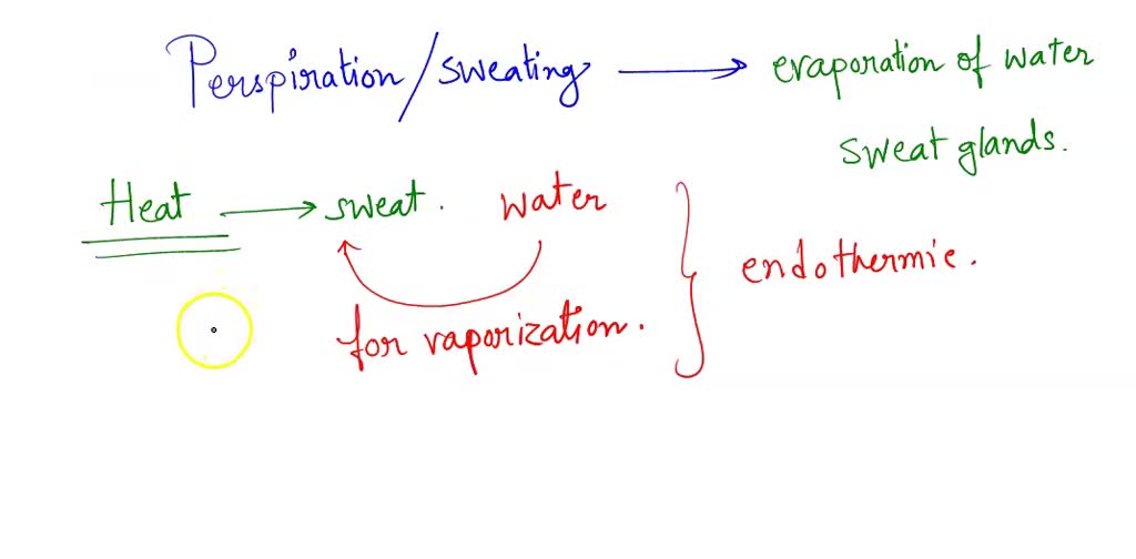 SOLVED: Statement Water Property Sweating helps cool us off Our blood ...