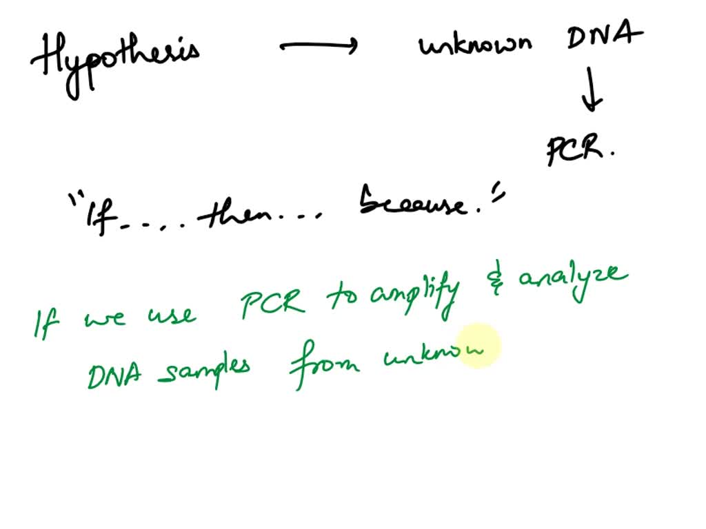 SOLVED: Write a possible hypothesis statement for this experiment with ...