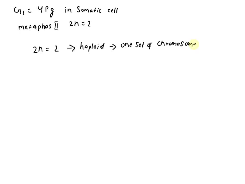 SOLVED: Assume that a G1 somatic cell nucleus in an ant (Myrmecia ...