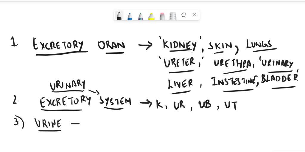 SOLVED: 1. Name the various excretory organs present in human beings. 2 ...