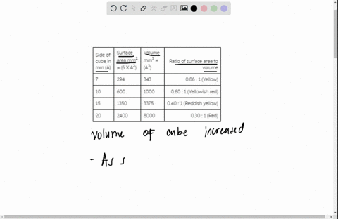 Part 2b effect of cell size and surface area to volume ratio...