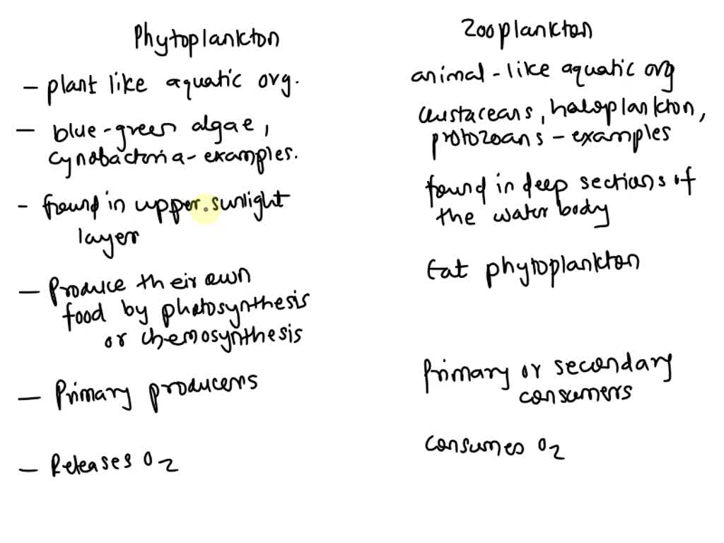 Difference Between Phytoplankton And Zooplankton Zooplankton- Enchanted ...