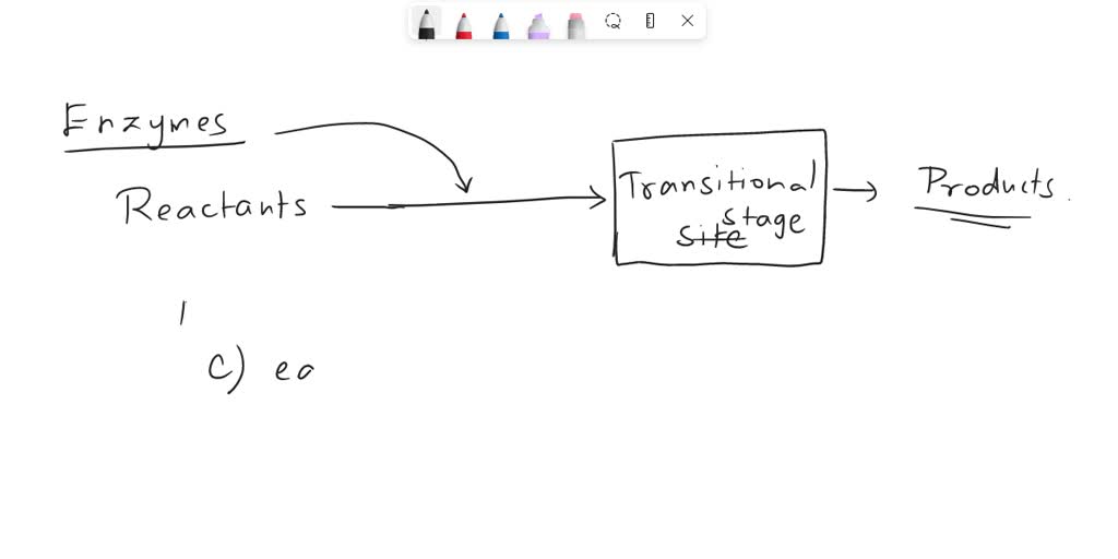 Solved Question 30 Which Statement Characterizes An Enzyme Catalyzed