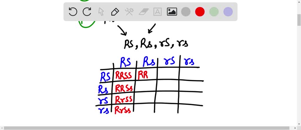 SOLVED: RS, Rs, rS, rs 8. Complete the simplified Punnett Square for ...