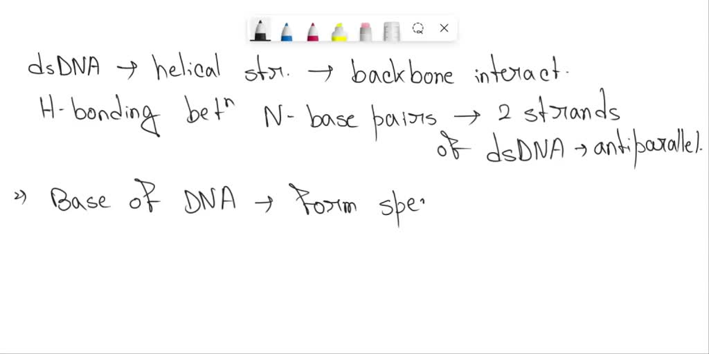 SOLVED: (c) Does water stabilize the single stranded or the double ...