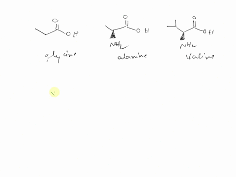 The diagram below shows the structures of three amino acids OH CH3 H H ...