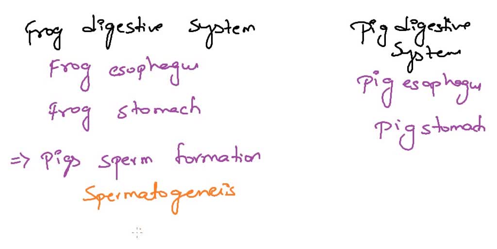 SOLVED: Q1. Describe two differences you noted between the frog ...