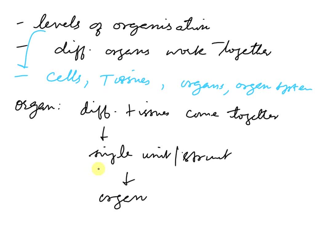Differentiate between the different level of organisation from organ ...