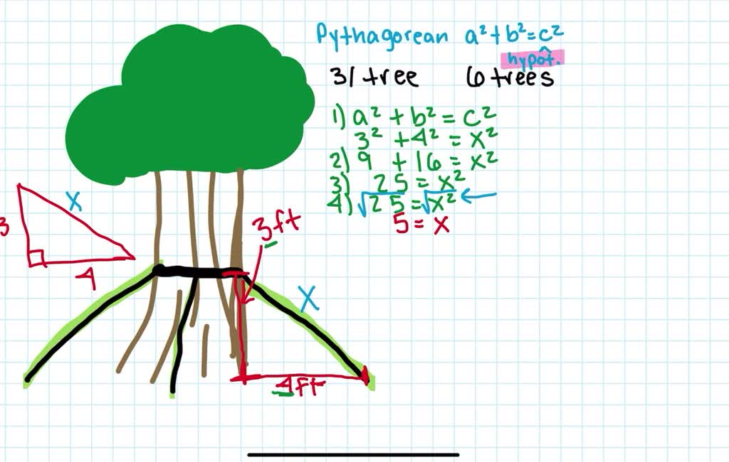 SOLVED: A newly-planted tree needs to be staked with three wires. Each wire is attached to the ...